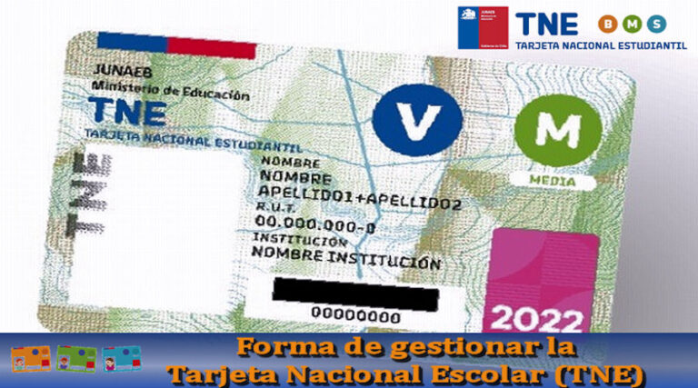 Tarjeta Nacional Escolar (TNE)-Como saber cuando retirarla - 2026